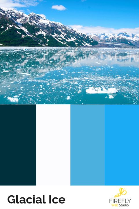 The PERFECT Color Scheme for Your New Website - Firefly Web Studio