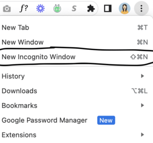 Remove the Hello Theme Multiple Meta Description Tags Error